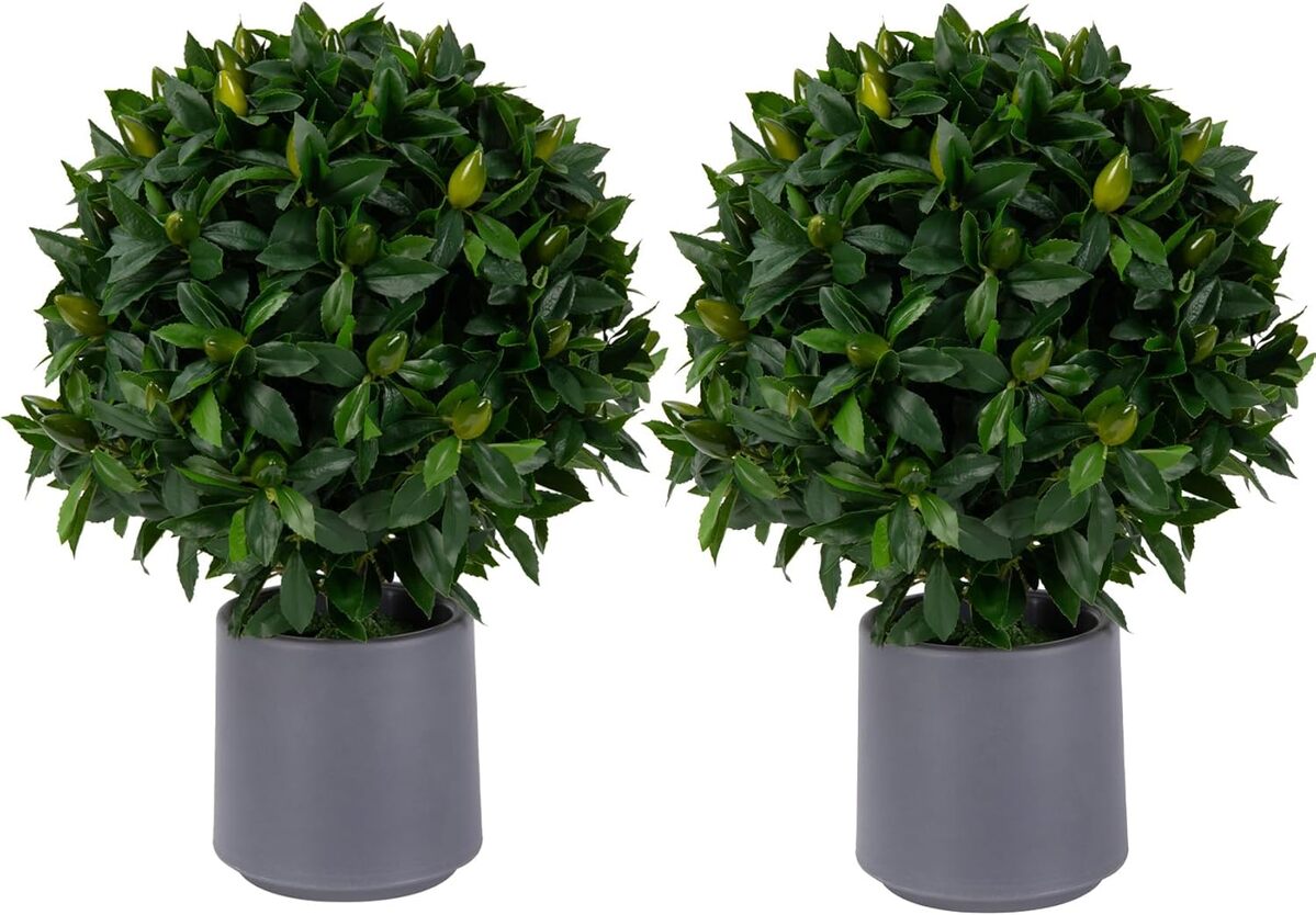Test : arbre topiaire en boule de cèdre 61 cm, résistant UV