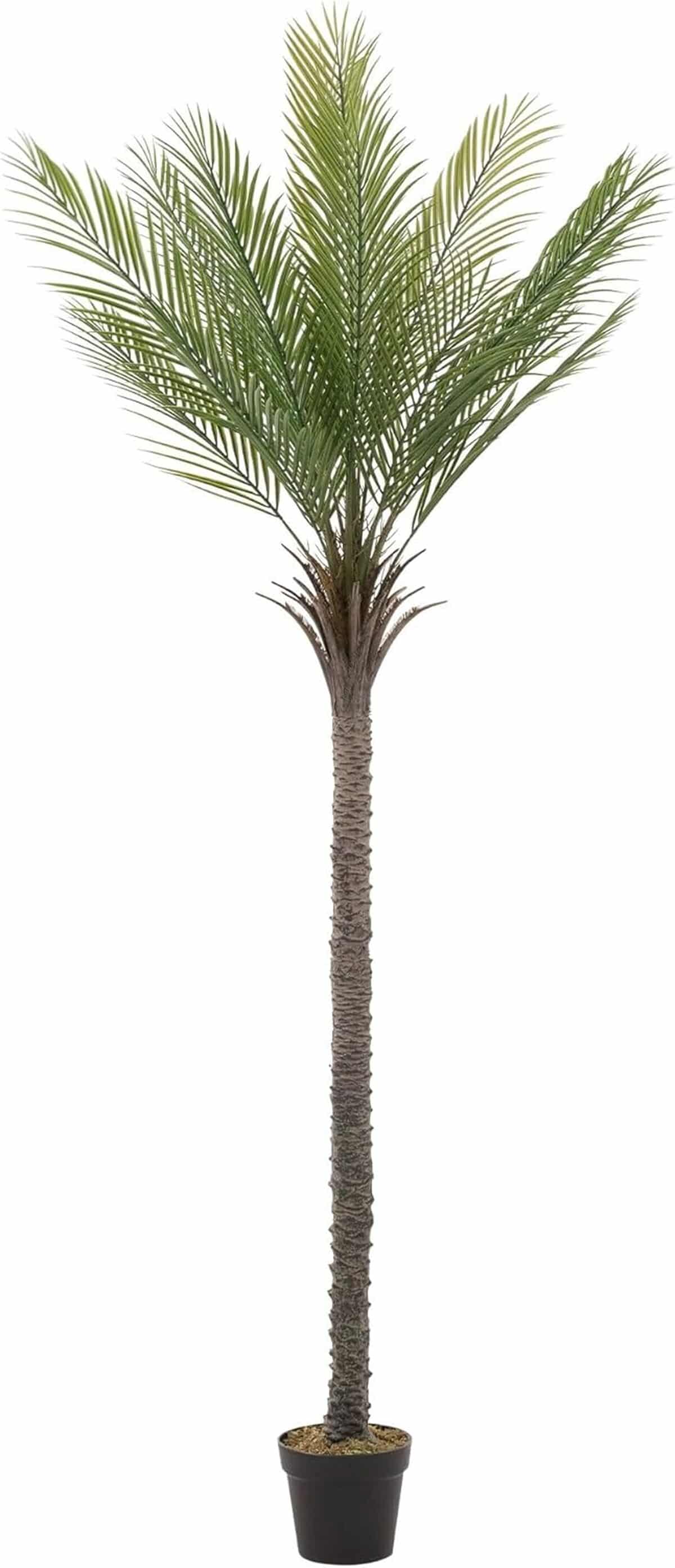 Avis sur le palmier artificiel ML-Design 210 cm : exotisme naturel pour ...